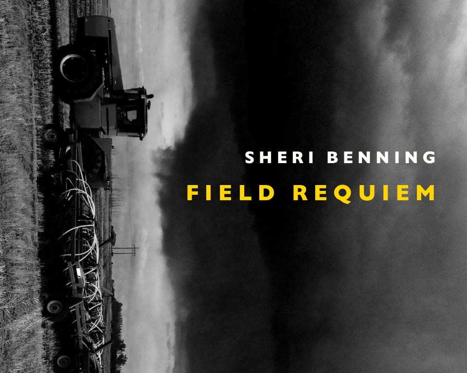 Hearts pressed with aspic – The Friday Poem